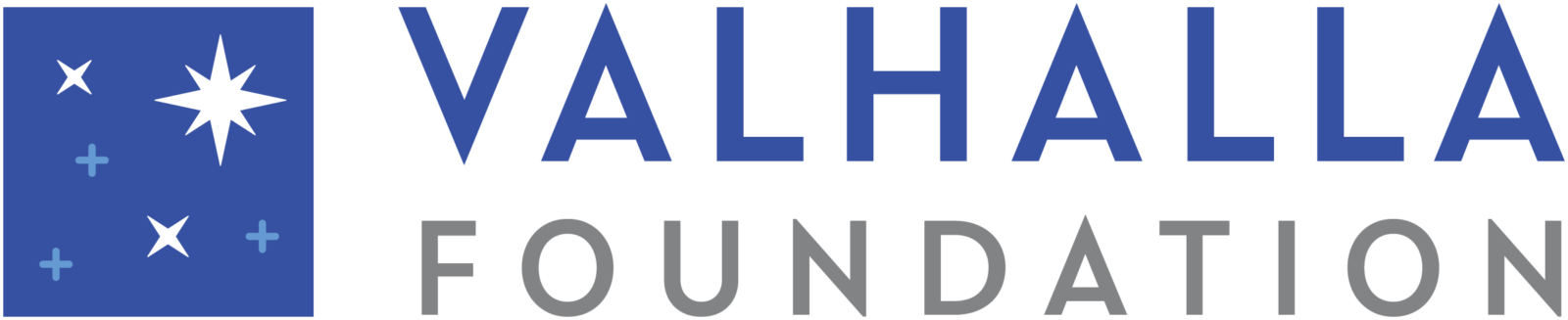 What We Do - First Five Years Fund